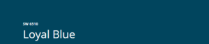 Rich and Warm: Terracotta and Navy Blue Color Harmony for 2024